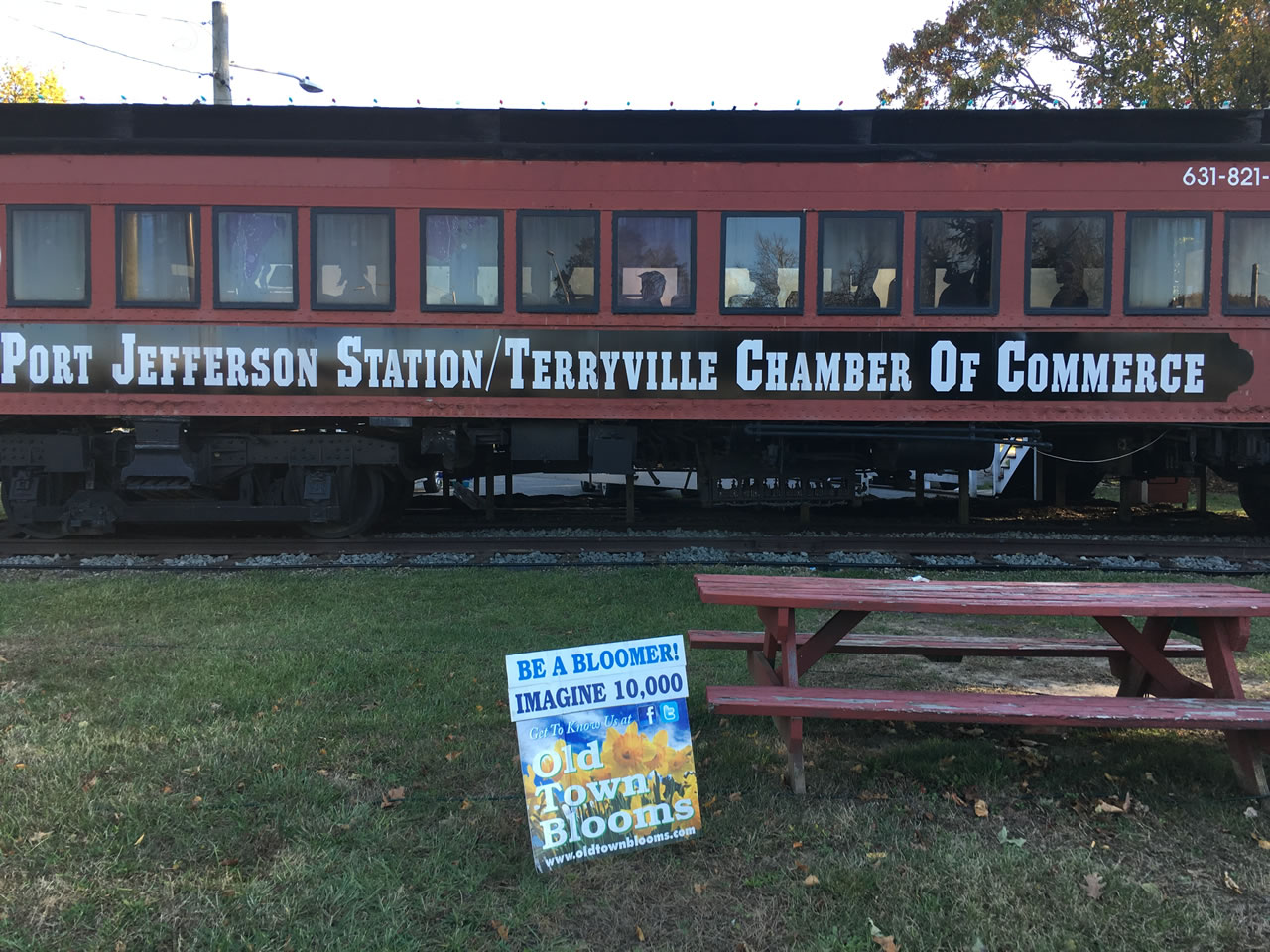 Planting Daffodils with Craig den Hartog - Port Jefferson Terryville ...